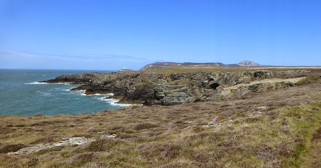 Harris Hikers: South Stack Cliffs Nature Reserve and More 16th May 2015