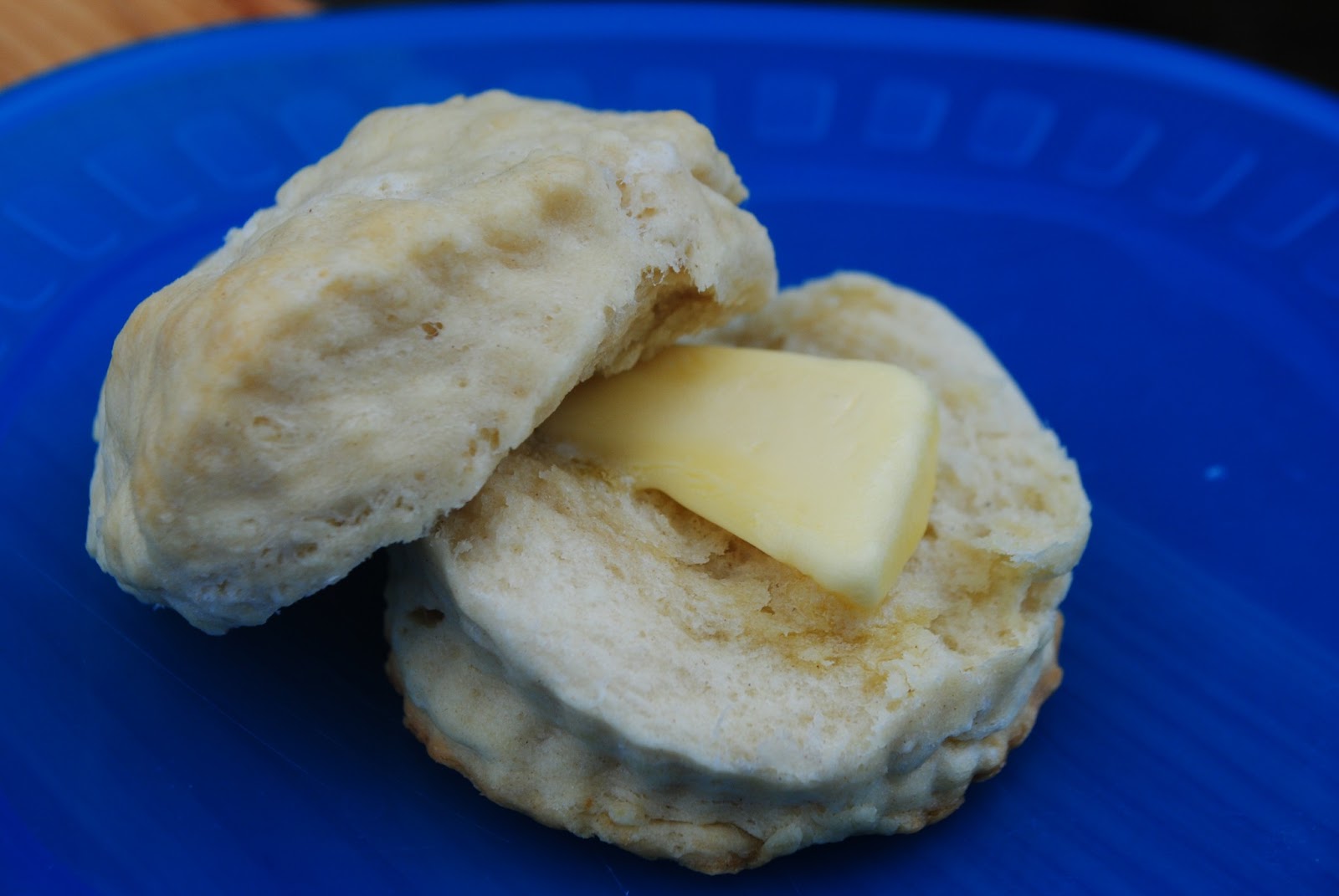 Homemade Biscuits!!! Part 2: Buttermilk Biscuits and The Tang | The ...