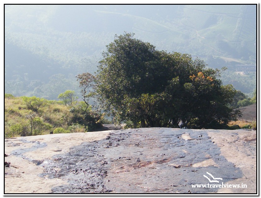 പ്രകൃതിയിലേക്ക് ഒരു യാത്ര ...a travel towards NATURE ...