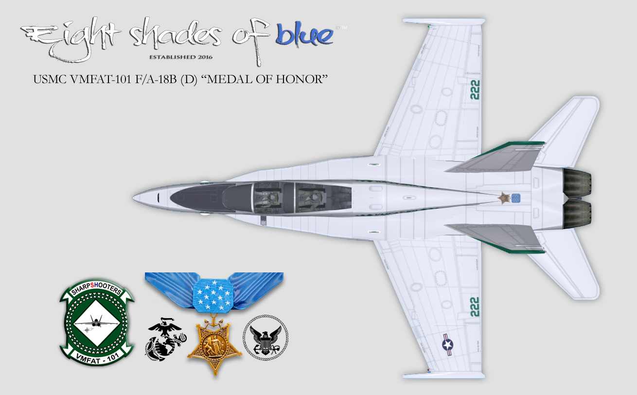 Eight Shades of Blue: USMC F/A-18D Hornet VMFAT-101 2012 "Medal of Honor"