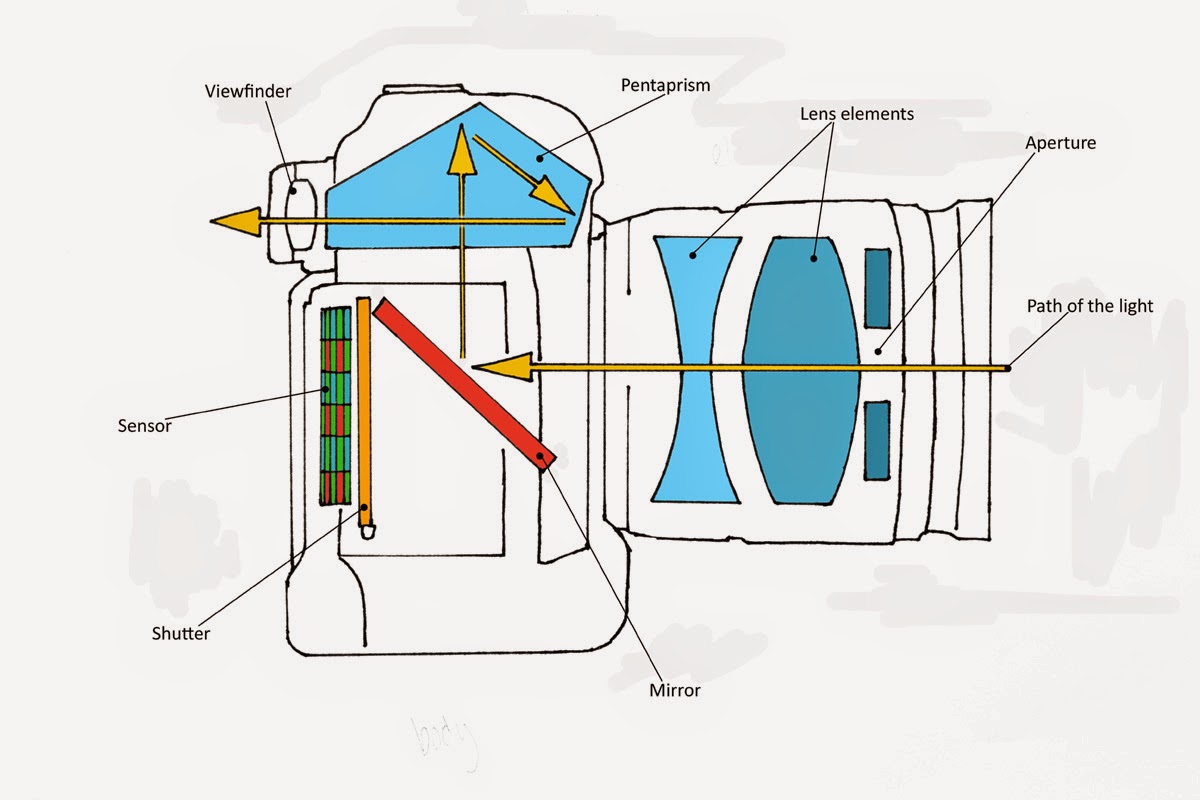 Art and Design Photography Level 2: 2015