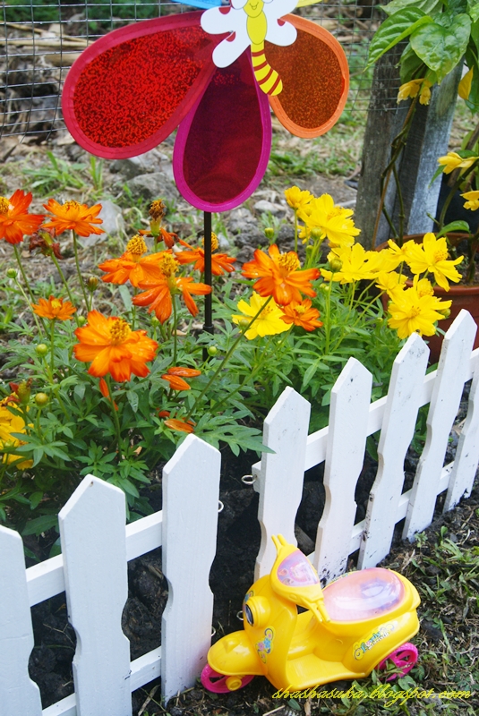 HoBi & KoleKsikU...: Taman Bunga Mini DIY (1)