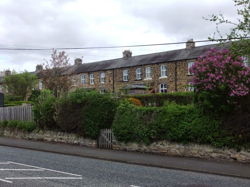 Photographs Of Newcastle: Walbottle