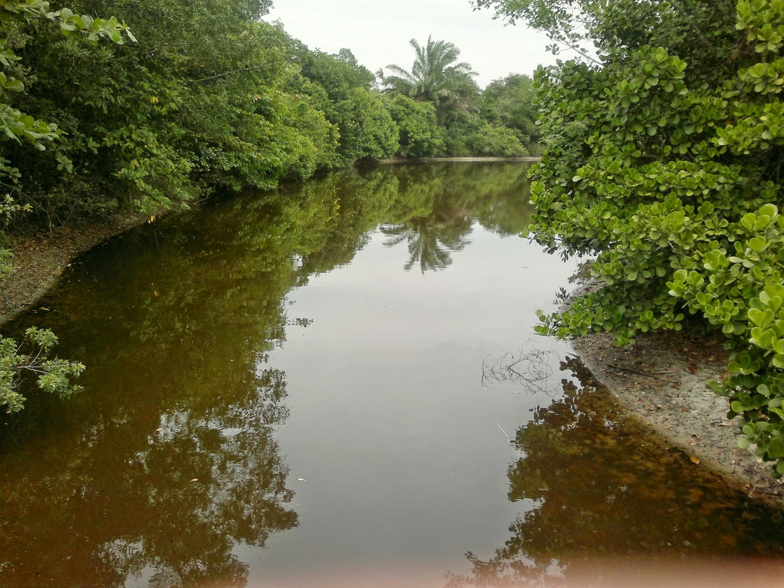 Trilhas e Pedais : Bosque da Barra + Quitite