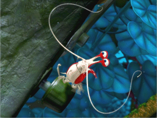 5 Disney Fish Jacques From Finding Nemo Cartoon movie Wallpaper