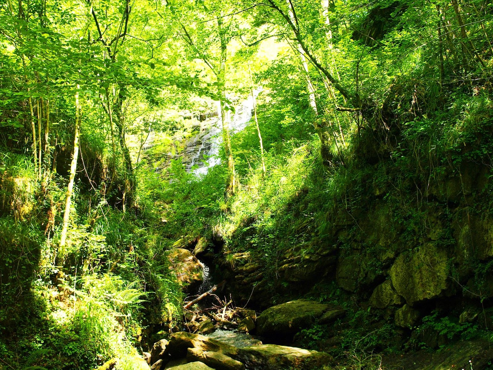 Best Pyrenees Photos: Nature Wallpaper - Larrau - Pyrenees - France