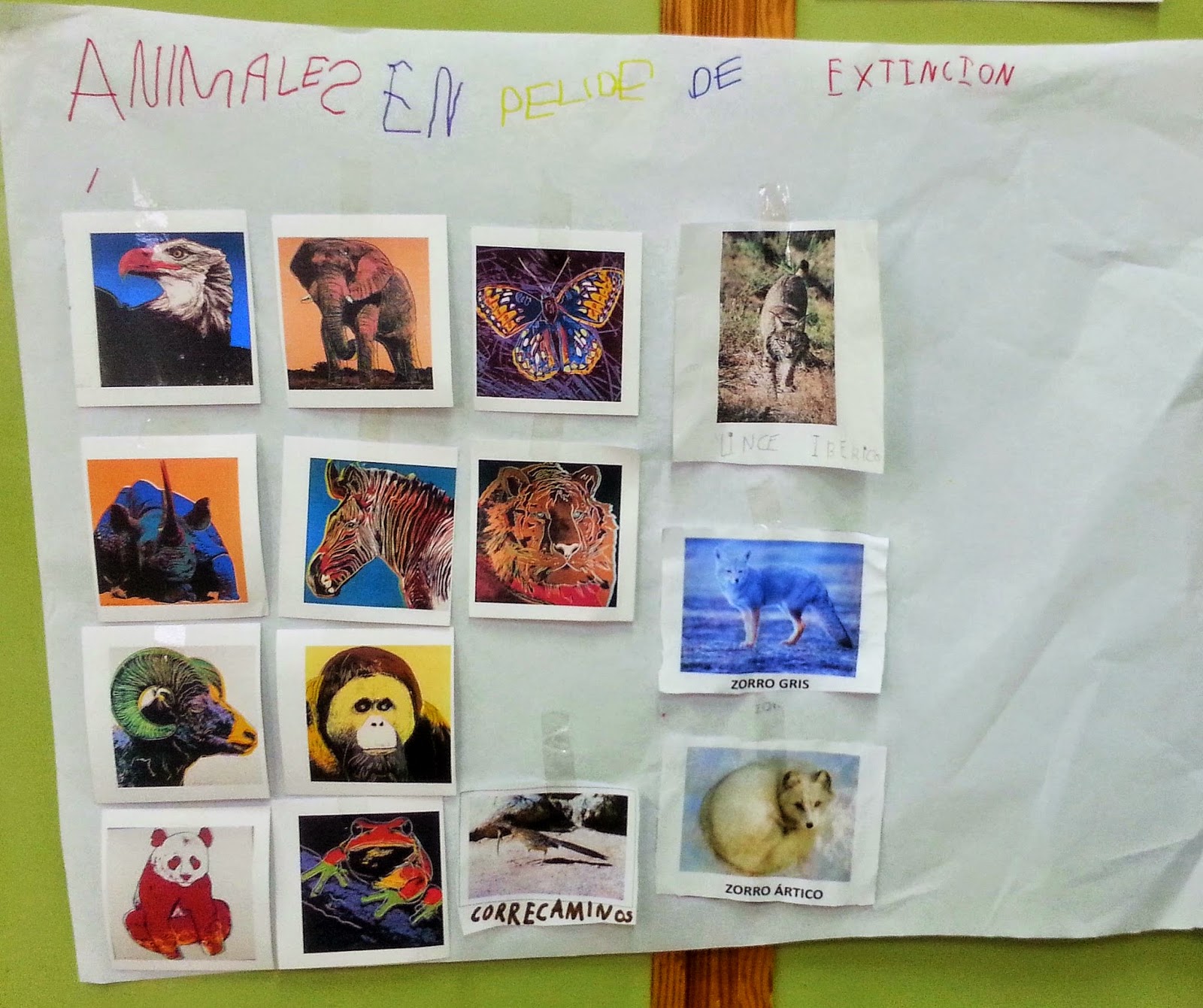 UNA ESCUELA UNA ILUSION: TERMINANDO PROYECTO DE ANIMALES SALVAJES