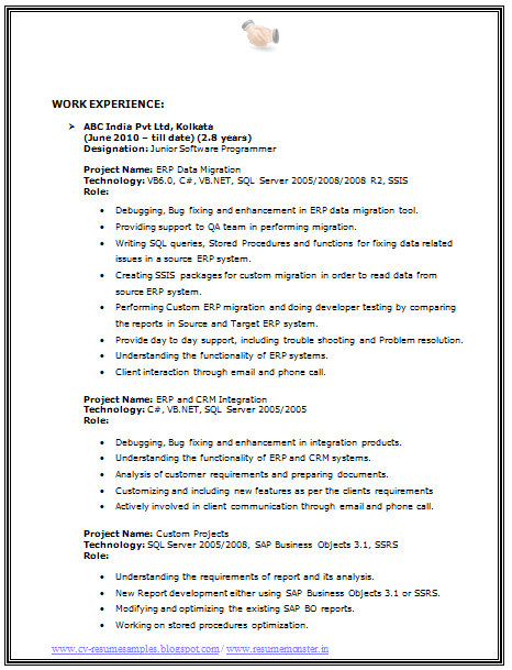 Over 10000 CV and Resume Samples with Free Download: BSC IT Resume Sample