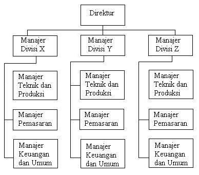 Lutfi Apriliadi's Blog: Quick Look at Divisional Structure Organization
