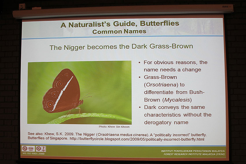 Revision to the Common Names of Butterflies | Butterfly Muse