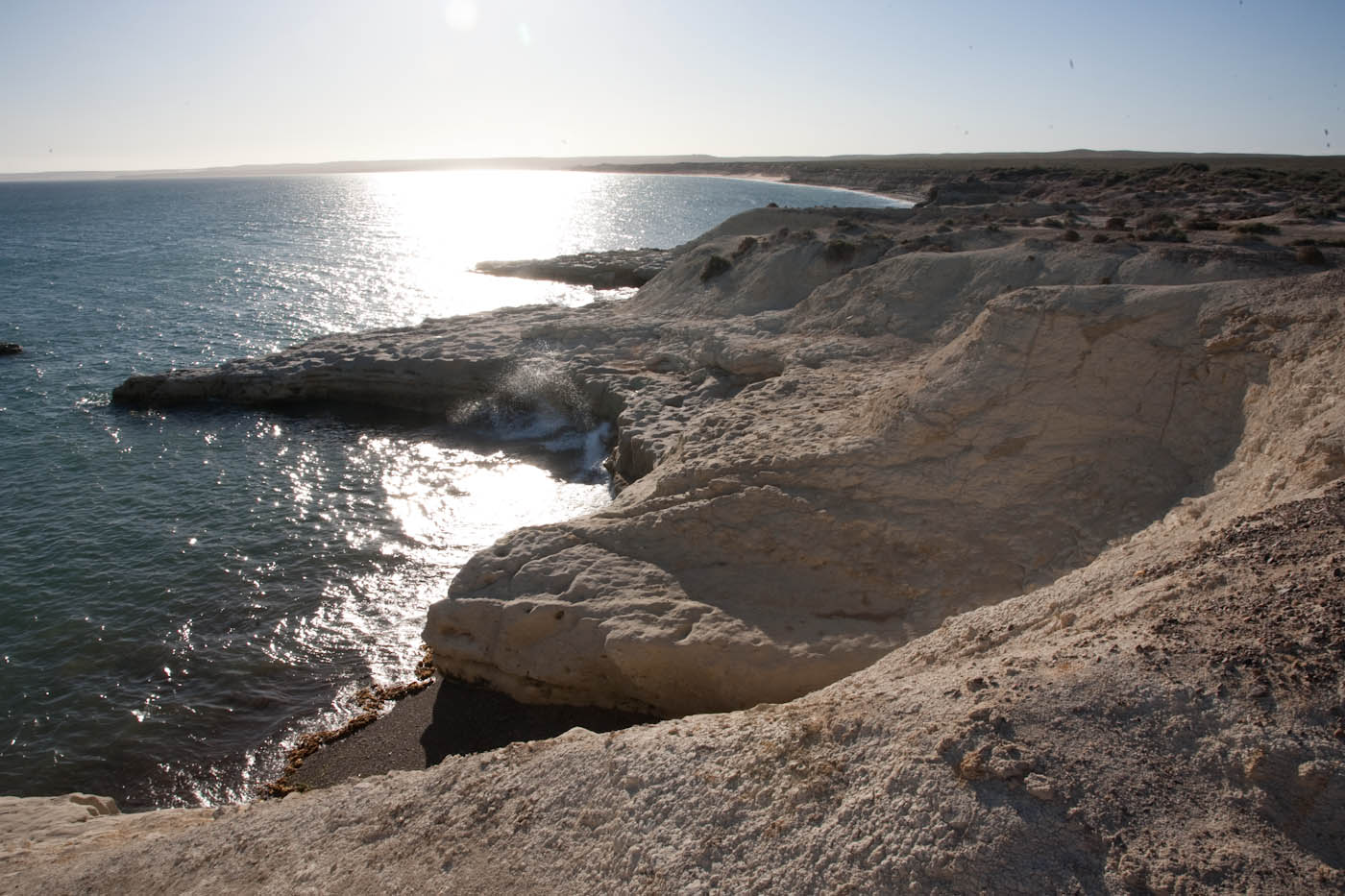 Čundr de América: Peninsula Valdés