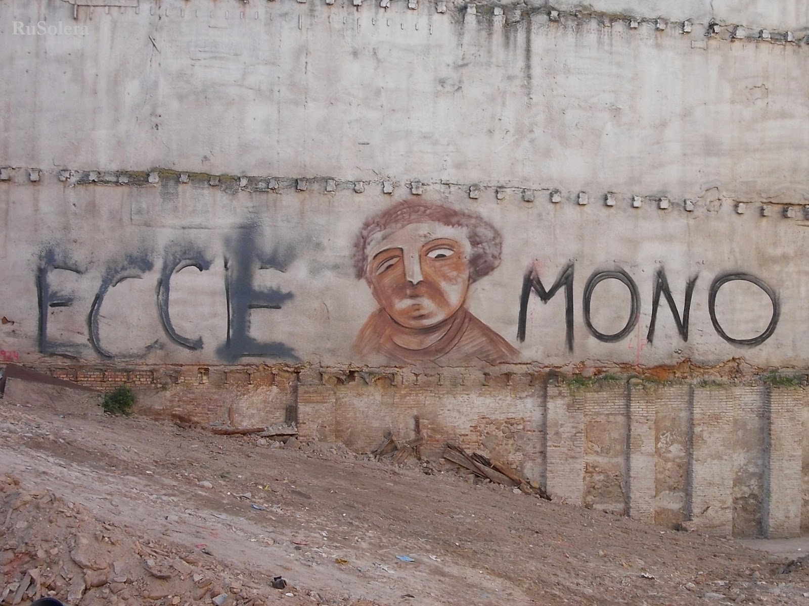 Vagabundeo tedioso por Zaragoza: Ecce mono