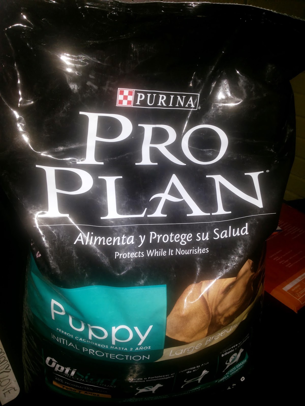 Boxer de Chile: Recomendaciones