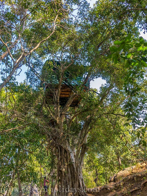 Trekking in Chinnar - Pambar Log House