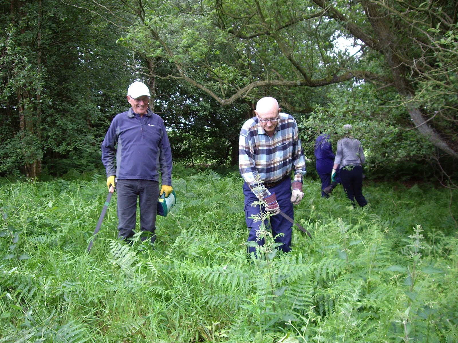Nidderdale AONB Conservation Volunteers' Blog: Bracken Bashing in Old ...