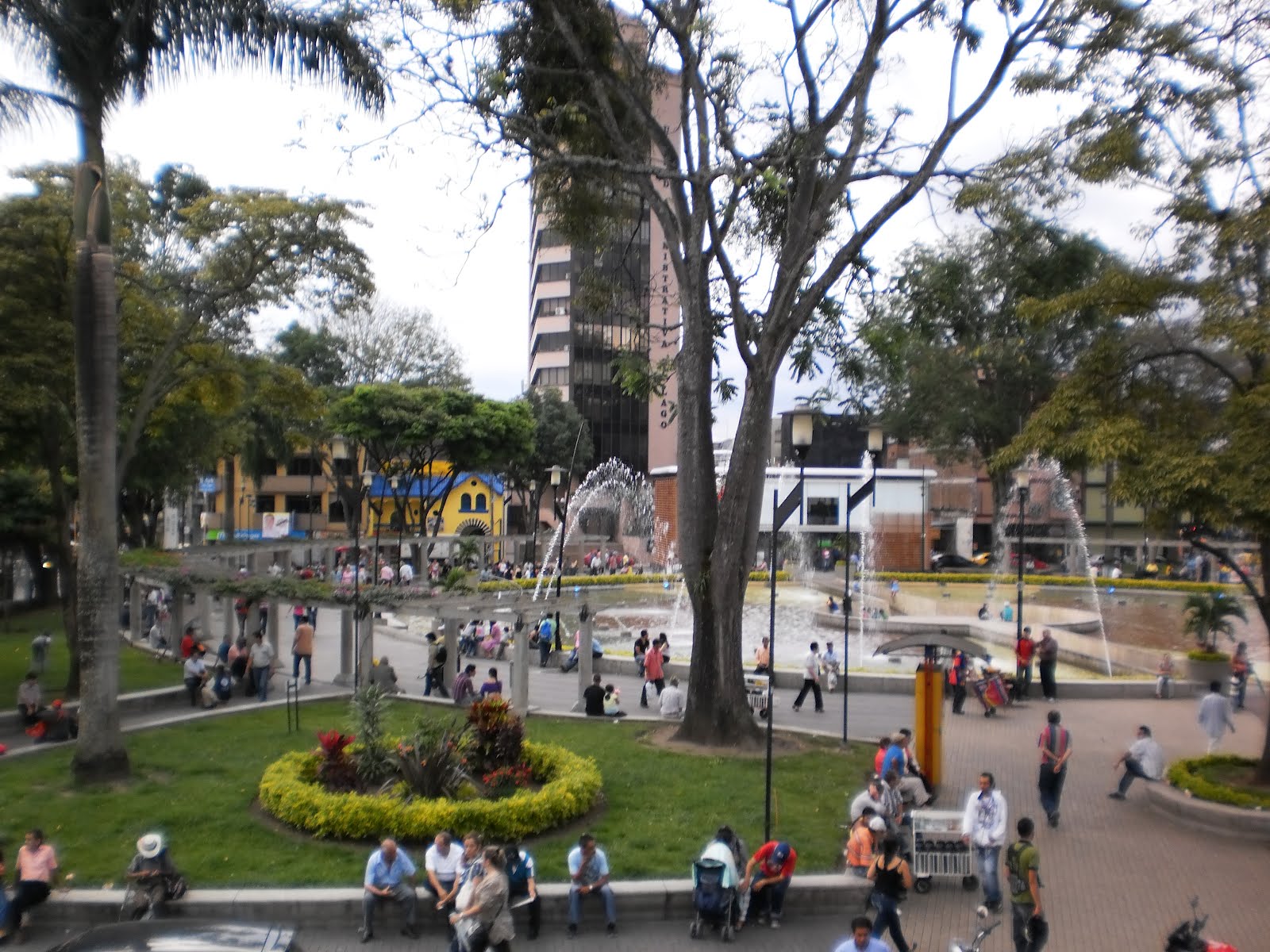 Coffee Zone. Colombia: Pereira. Risaralda