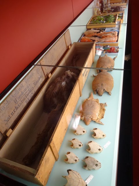 Jacques Huber and the Amazonian Botany: 2013