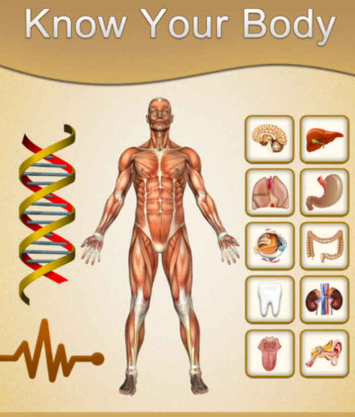 4 Useful IPad Apps To Help Students Learn About The Human Body Educators Technology 4-useful-ipad-apps-to-help-students-learn-about-the-human-body-educators-technology