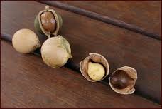 BEAUTIFUL YOU: A Tribute to Tamanu Oil~