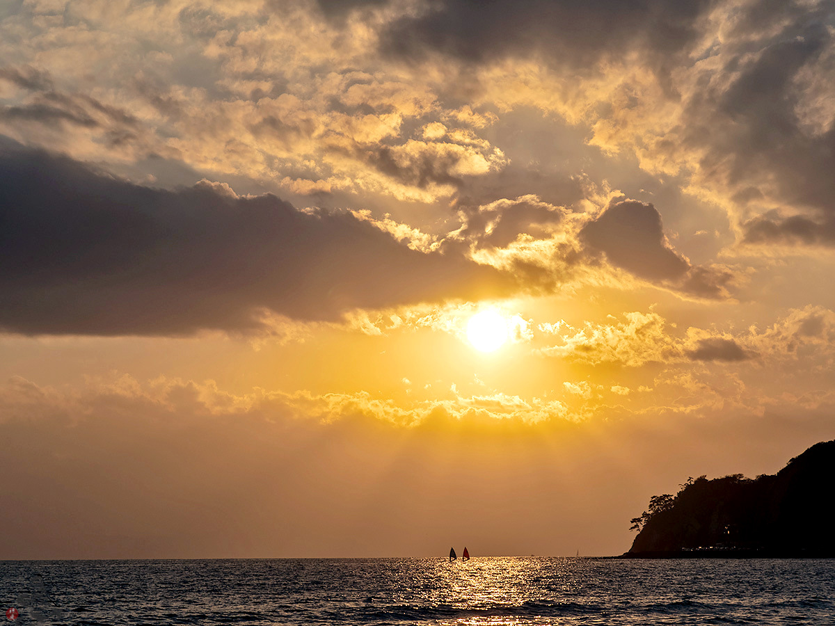 FROM THE GARDEN OF ZEN: November 2018