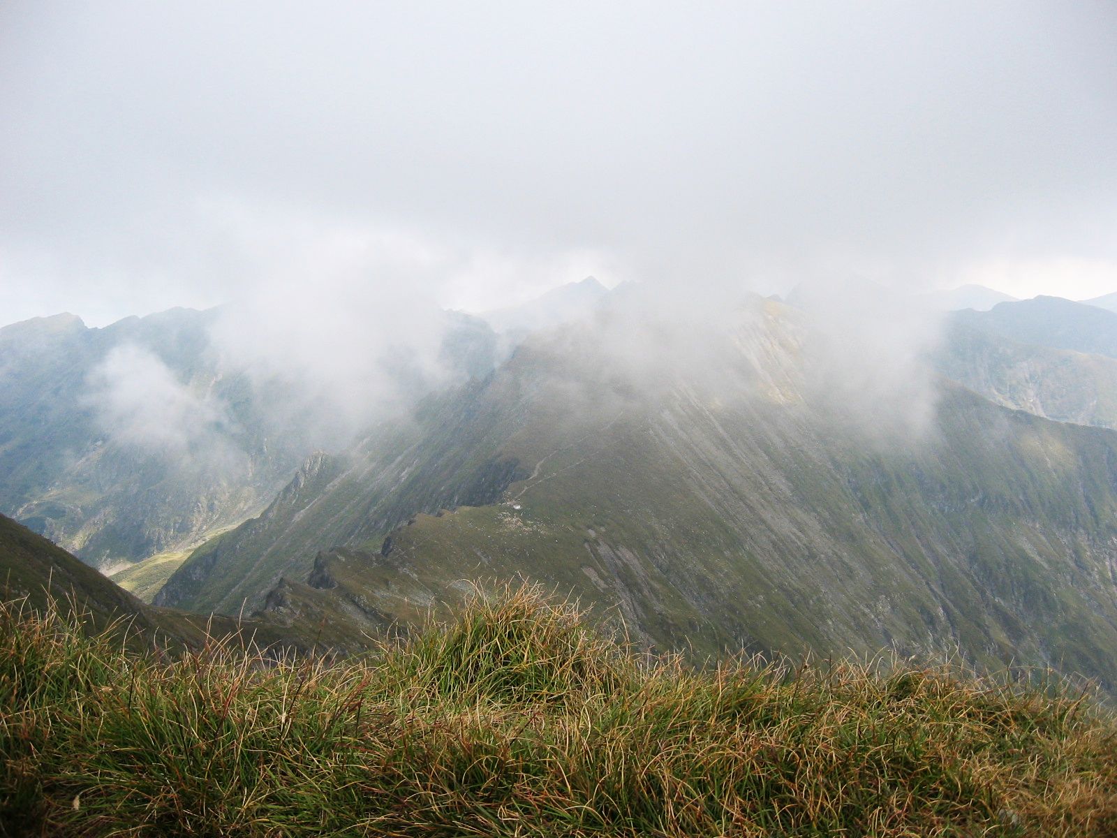 Hai cu noi la munte!: Vf. Moldoveanu prin Valea Vistei Mari (22-24 aug ...