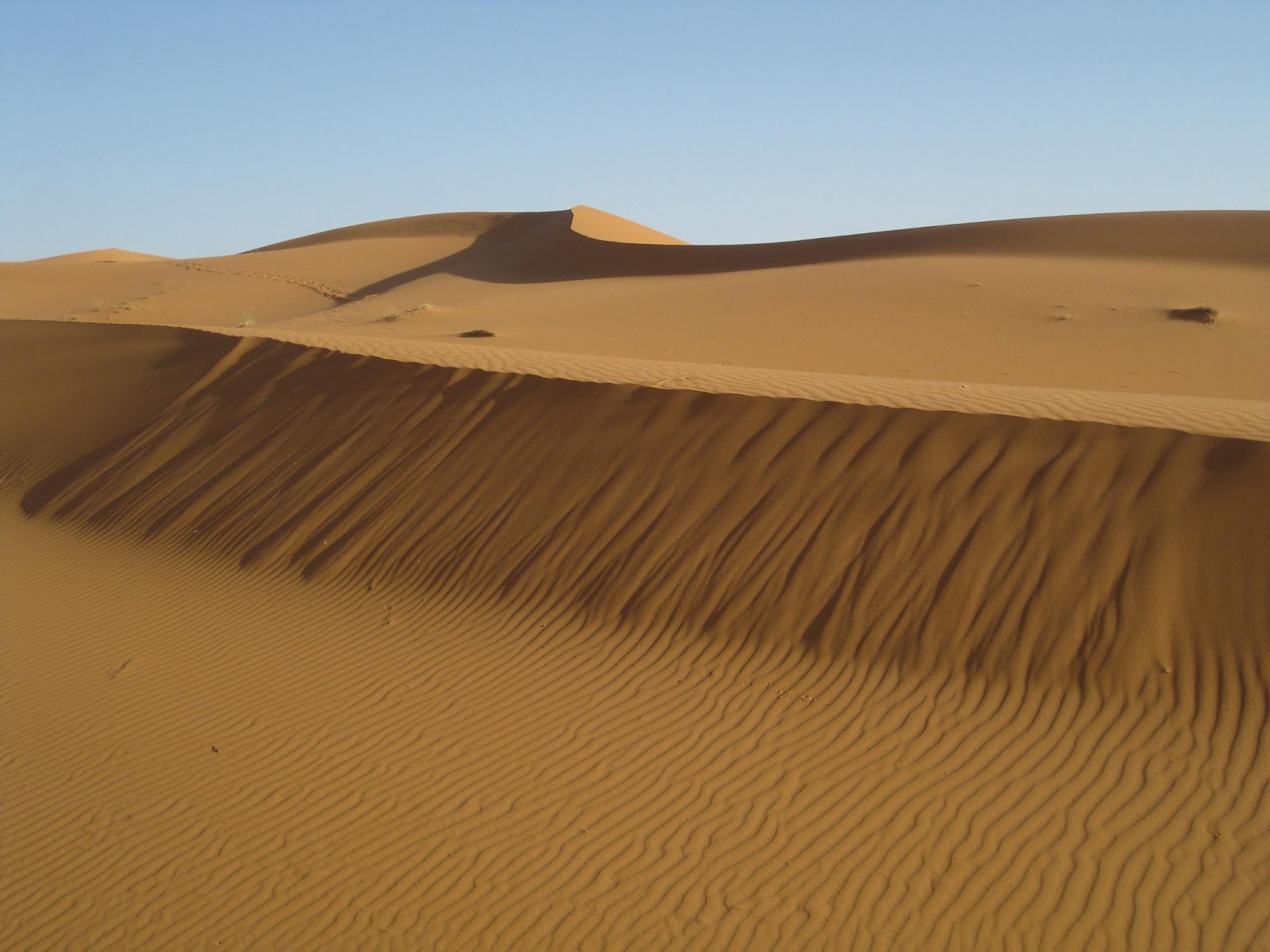 Flavors of the Sun: Moroccan Textures and a Recipe