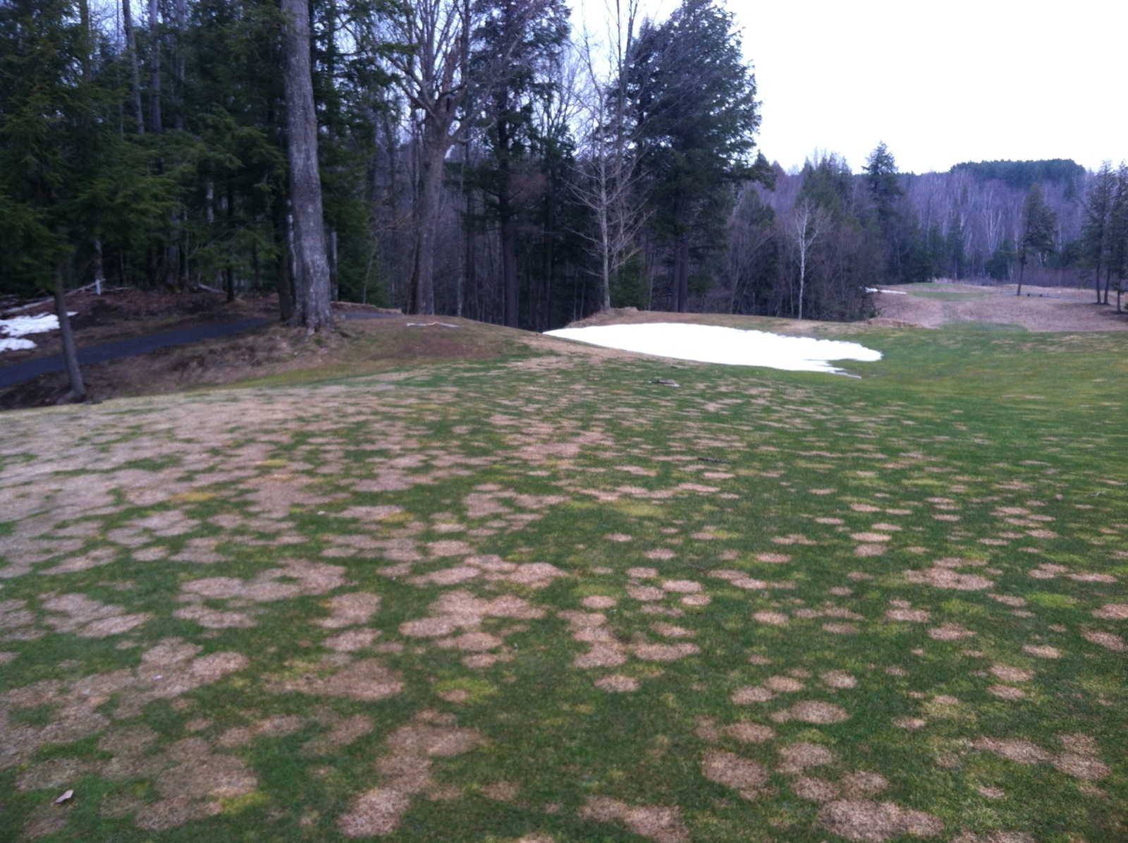 Marquette Golf Club Grounds