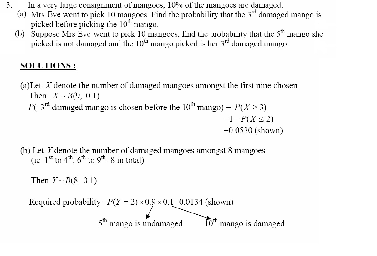 H2 Maths Tuition By White Group Mathematics