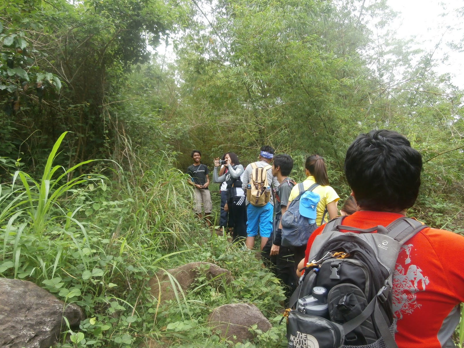 GalaeroEscapeTravels: Mt. Tagapo Day Hike: Gauging the Peak of Bamboo ...