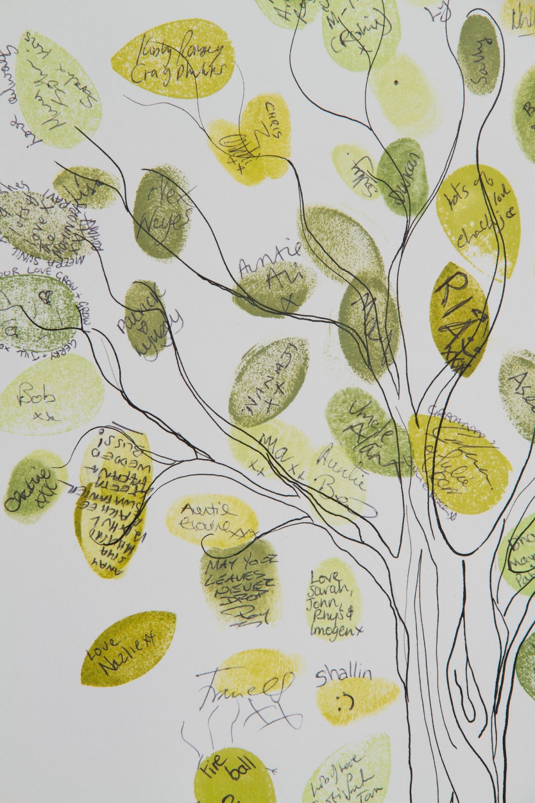 Olive Dragonfly: Our fingerprint tree