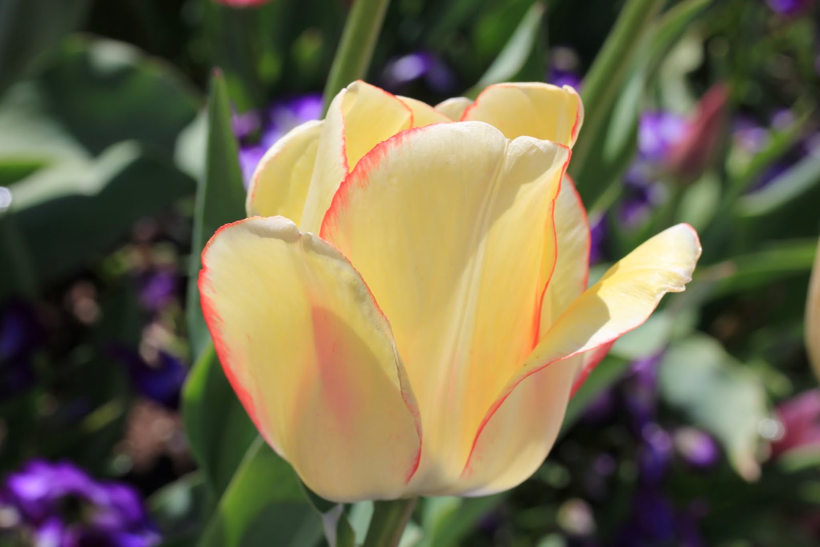 Jill's World of Research, Reaction and Millinery: A Colorful Weekend ...