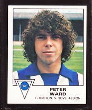 Frankly Mr Spencer: A Moment In Time - 1982-83 When Brighton Almost Won ...