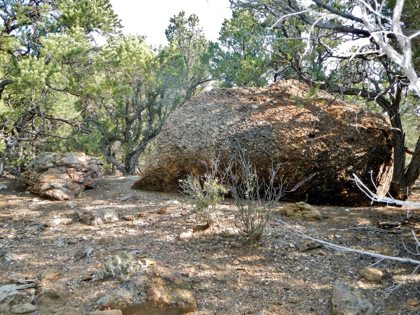 The Southwest Through Wide Brown Eyes: The Much Awaited Shay Ridge/Shay ...