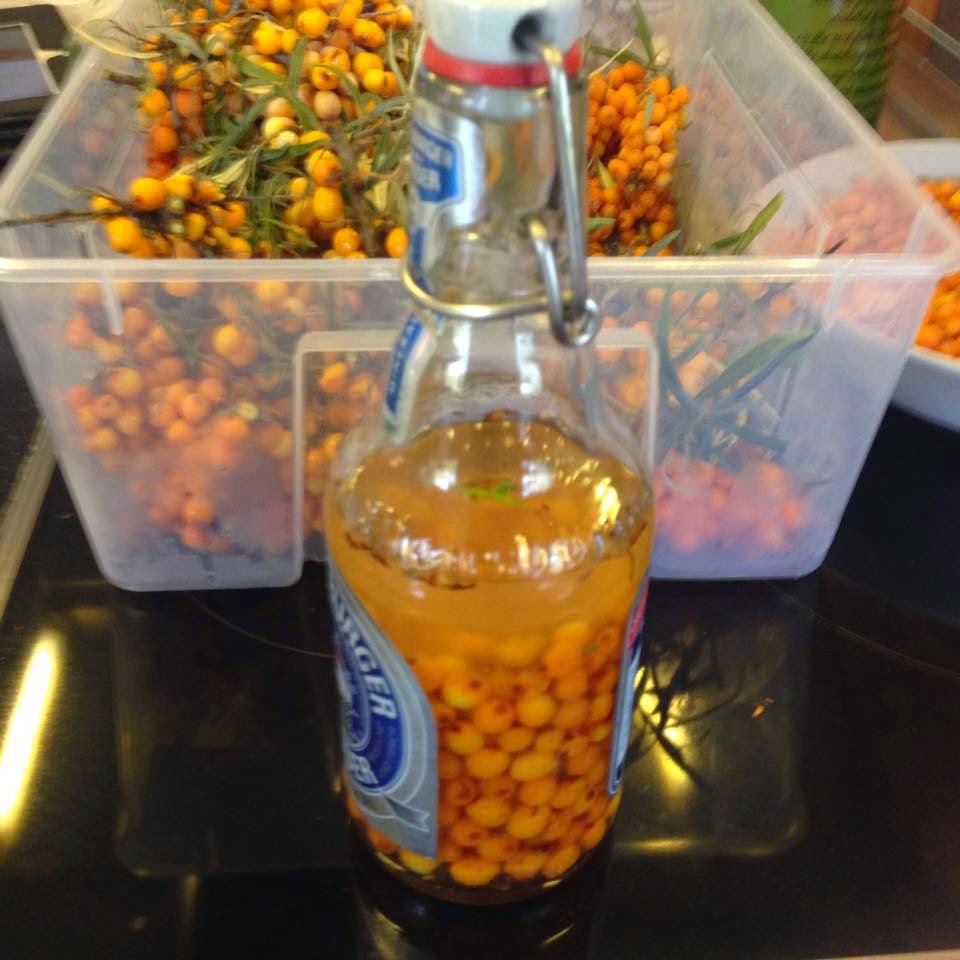 Ulf Liljankoski: Havtornsäventyr - Havtorn, havtornssnaps och havtornssylt