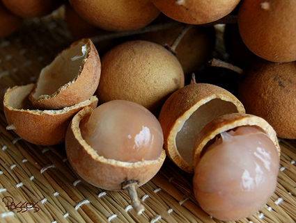 Flavors of Brazil: FRUITS OF BRAZIL - Pitomba