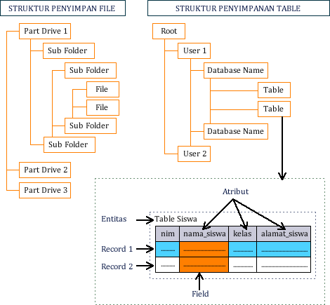 Hierarki Basis Data ~ Mari Belajar Basis Data