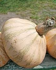 New World Food: Mayan Pumpkins