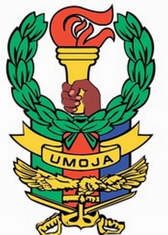 Wanajeshi wa Tanzania Waingia katika kashfa ya ngono DRC - Newspoint ...