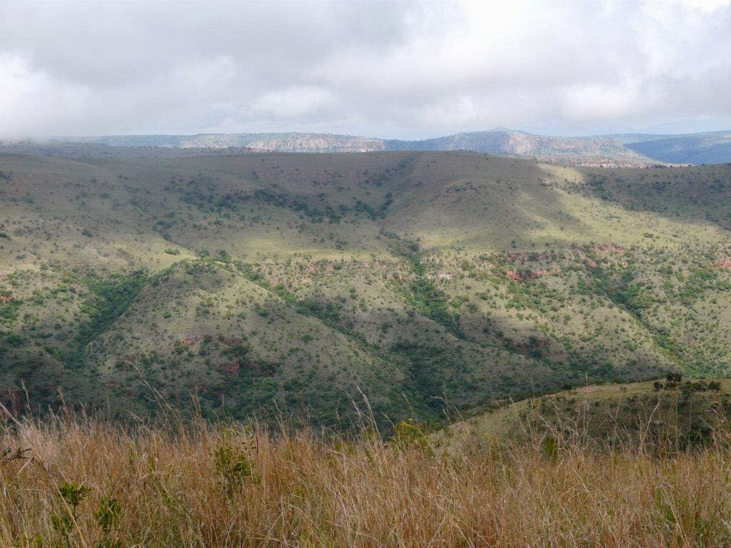 Joe's African Adventure: Welcome to Thabo Tholo!!