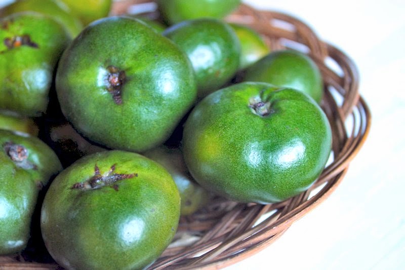 Exotica | dead-hungry