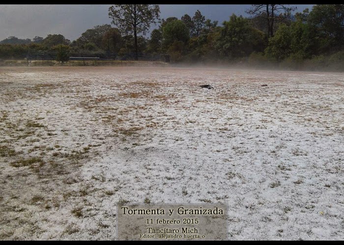 AGROFRUT ZAPOTLAN SA DE CV: GRANIZADA: GRANDES AFECTACIONES EN EL ...
