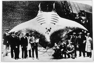 Monster Fish: Devil Fish