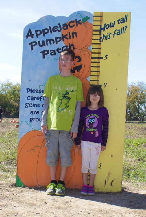 Project Denneler: How tall this fall?