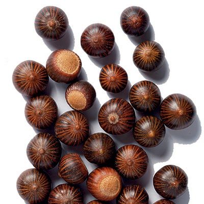 Trees Planet: Quercus palustris - Pin Oak