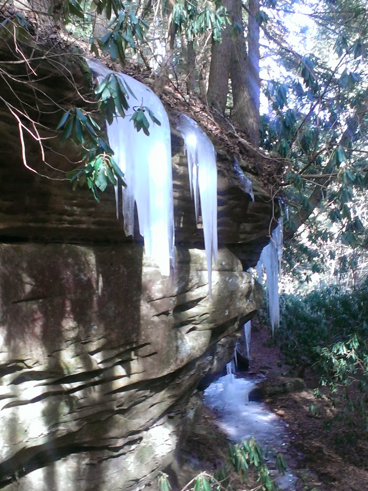 TRAVELING on a BUDGET : Northrup Falls located at Colditz Cove State ...