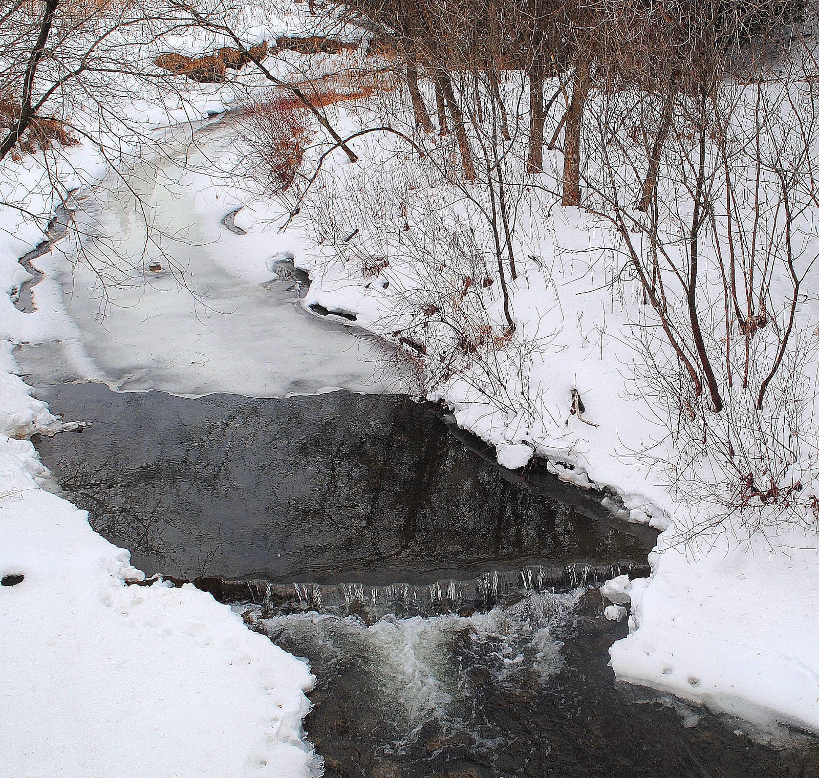 Camera on King & Aurora : Humber River still open in mid-January