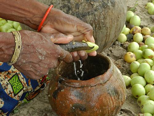 Patrimonio de la Humanidad: Oshituthi shomagongo, fiesta de los frutos ...