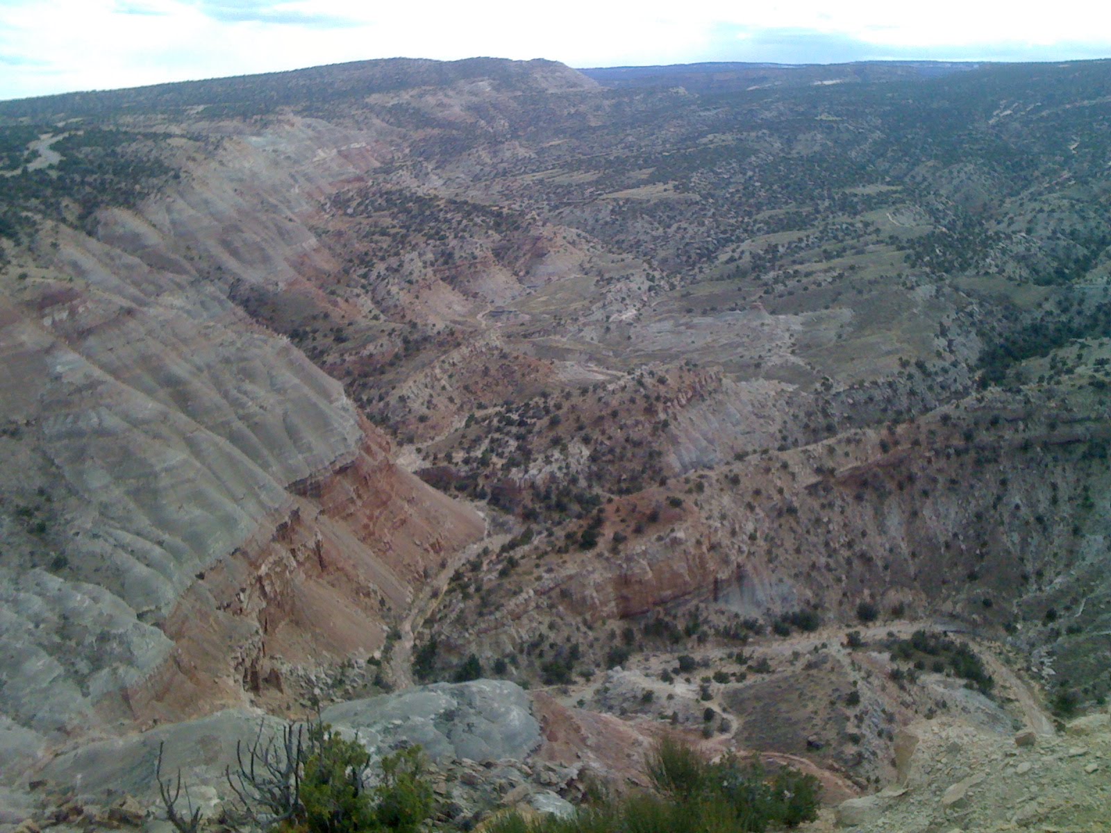 5012 Oregon Haus: Grand Junction Trails