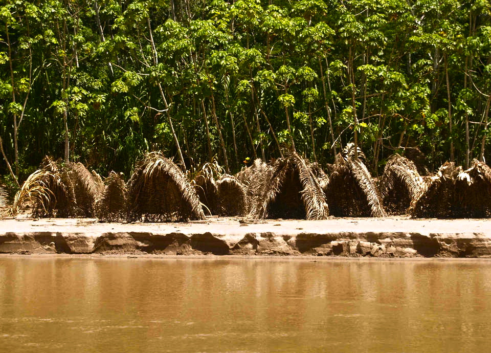Scientia Antiquitatis: Perù: I Piro di Diamante, la tribù Yine.