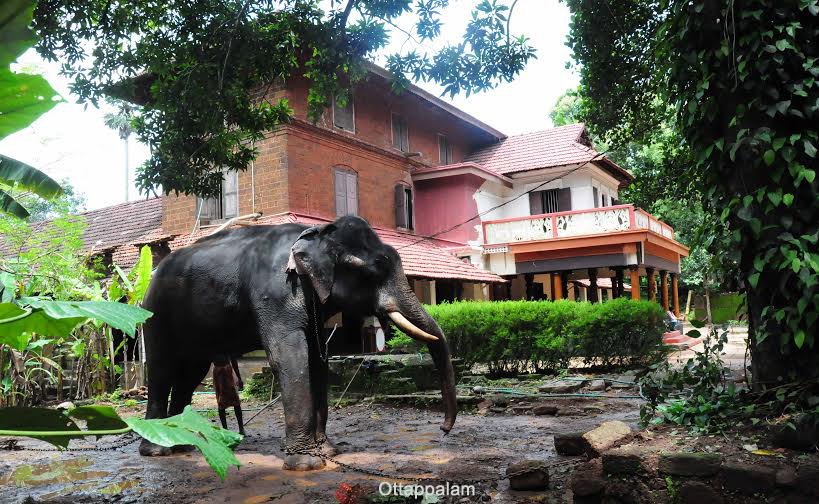 Indian Roadie: Ottappalam, Palakkad district, Kerala road trip during ...